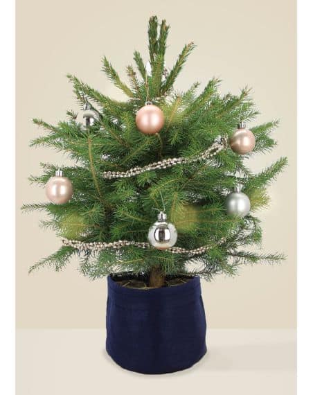 Mini sapin de noël naturel | Livraison sapin décoré en pot Le Mademoiselle